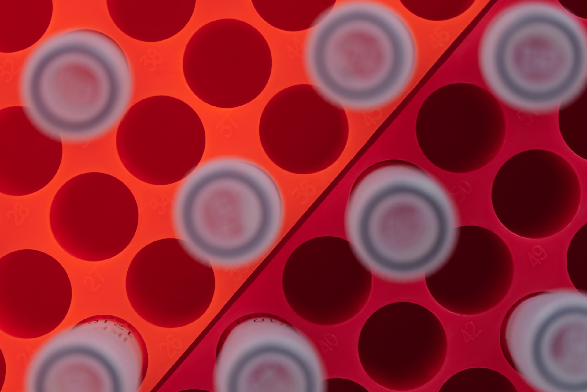 Roche eCard Generator